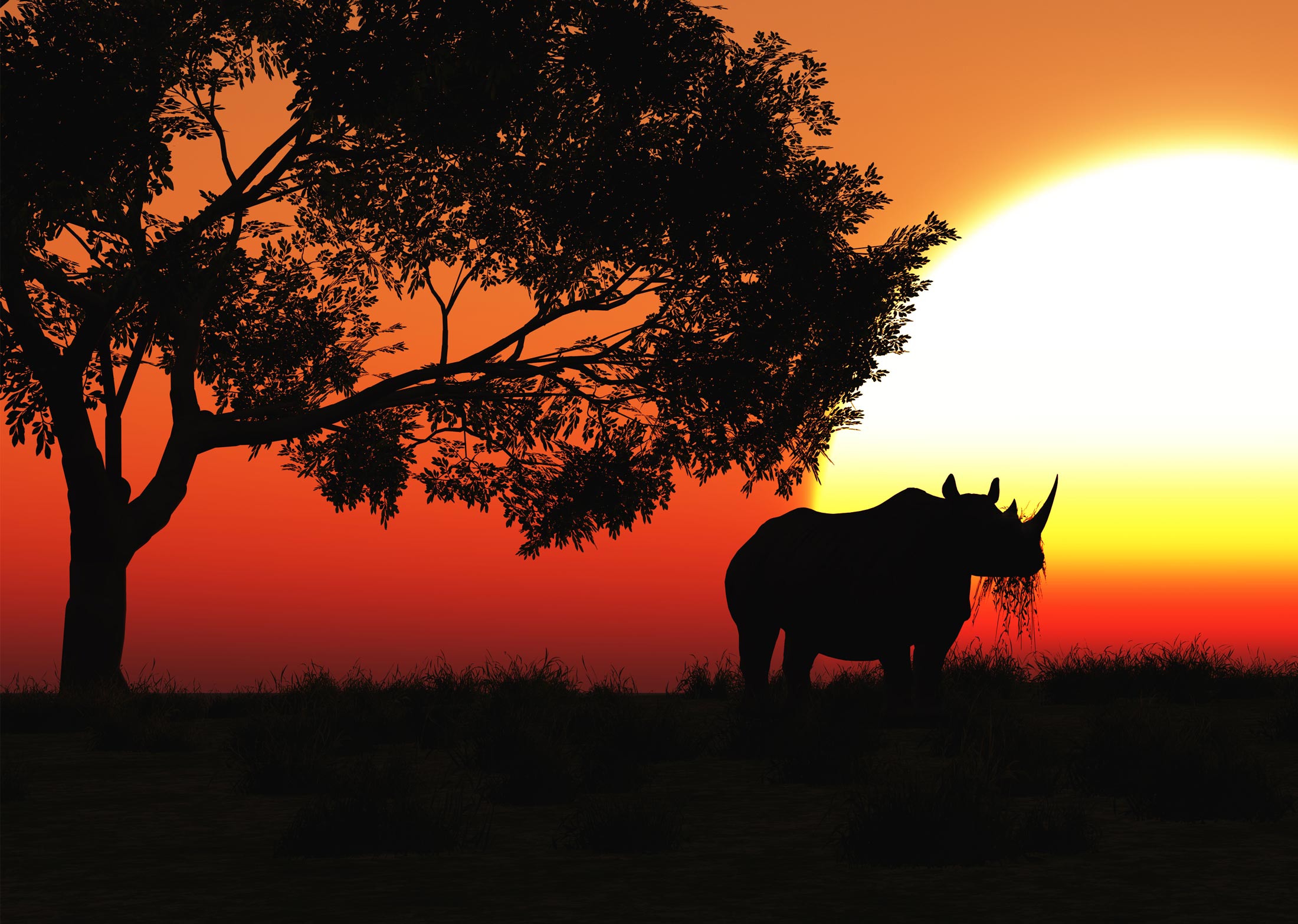 Shanti Travel PPC Case Study | Circus PPC